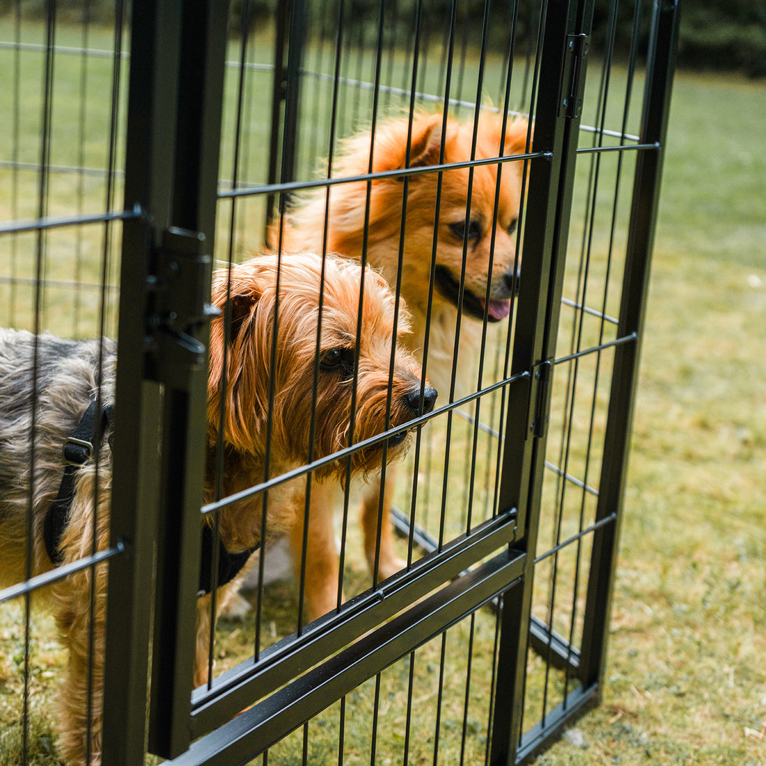 Heavy Duty 6 Panel Dog Playpen with Door – Robust & Secure – DogCrates+